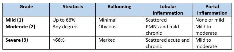 Medical Liver – Kurt's Notes