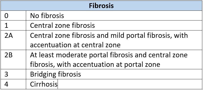 Medical Liver – Kurt's Notes